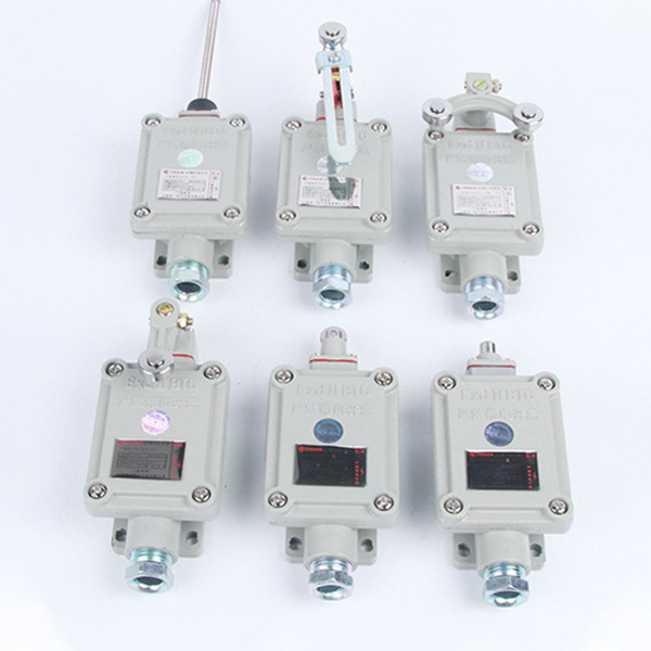 Explosion Proof Position Switch - Buy BZX51 Series Explosion Proof ...